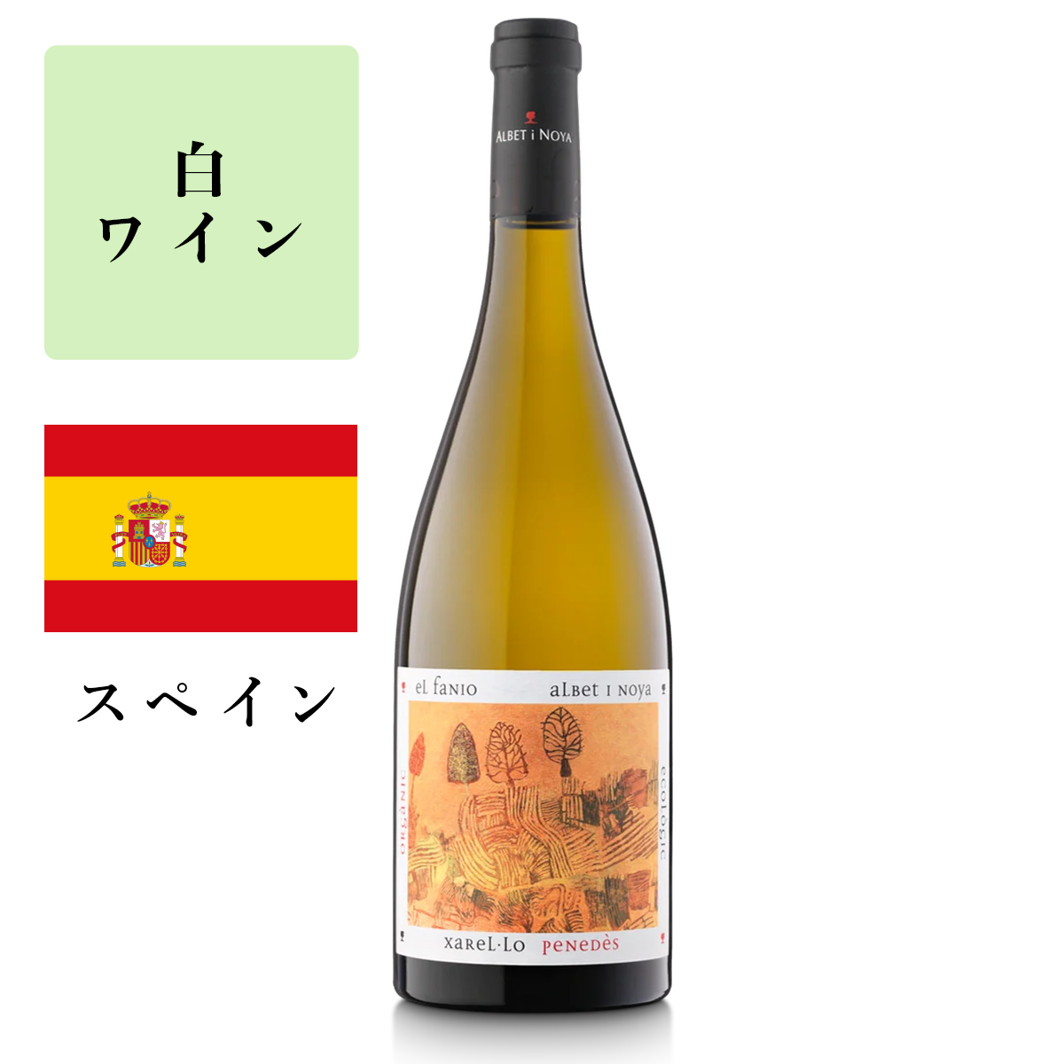 EL FANIO 2022 ECO ／エル・ファニオ （白）2022スペイン – illariiy